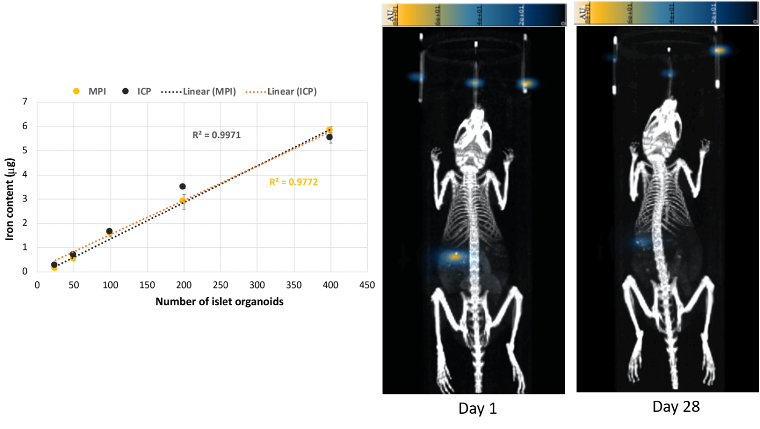 Magnetic Particle Imaging – Advanced Molecular Imaging Facility